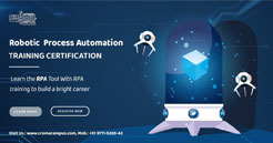 What is the Certification Cost of UiPath Training?