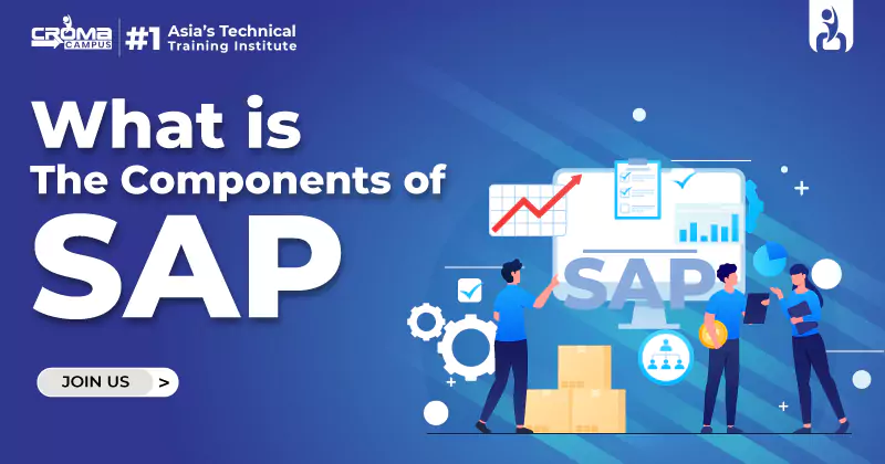 What Is The Function Of SAP SCM?